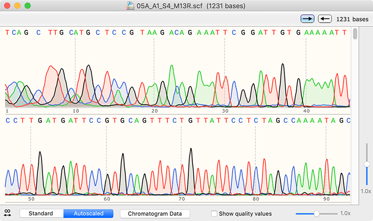 Release Notes Snapgene